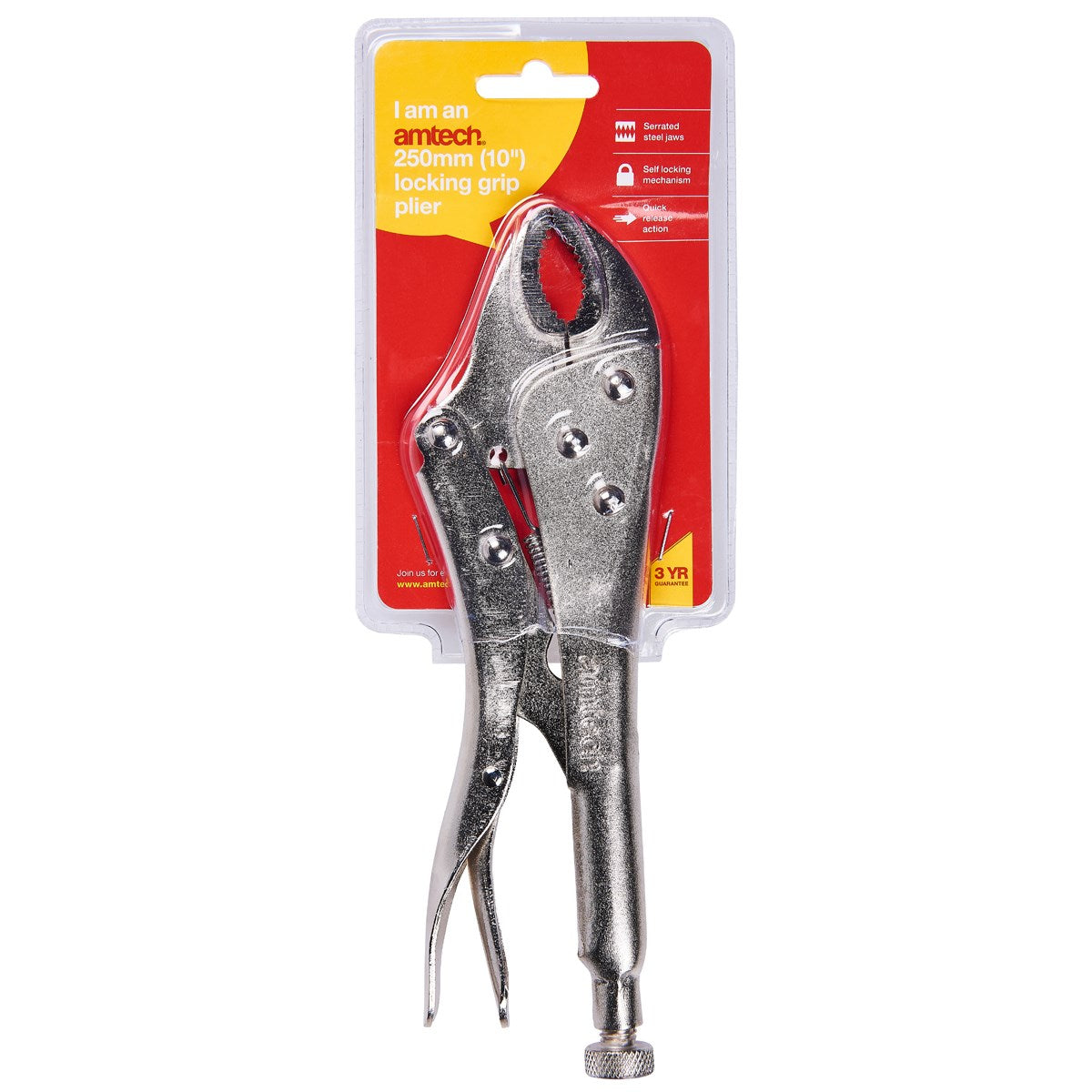 Amtech - 250mm (10") Locking Grip Piler – HeadcornHardware
